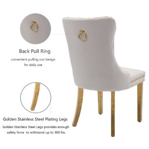 Shenyon Beige Velvet Dining Chairs Set of 6, Upholstered Dining Room Chairs with Back Ring Pull Trim and Golden Stainless Steel Legs,Modern Kitchen Chairs for Dining Room,Living Room,Kitchen(Beige)