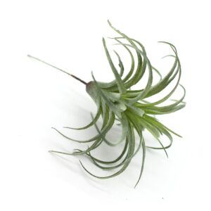 ZJCilected 2PCS Artificial Flocking Tillandsia Air Plants Faux Succulents Bromeliads for Indoor/Outdoor Garden and Home Decor, Terrarium Decorations, Arrangements, Office, and Displays(Small)