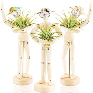 melphoe 3 pack air plant holder wooden jointed mannequin tabletop flexible shape adjustable pose & diy accessories decor planter tillandsia air fern display stand for home, office (3pack)