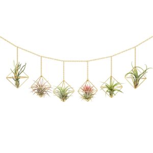 dahey gold geometric hanging air plant holders - set of 6 square metal planters with chains for indoor wall decor