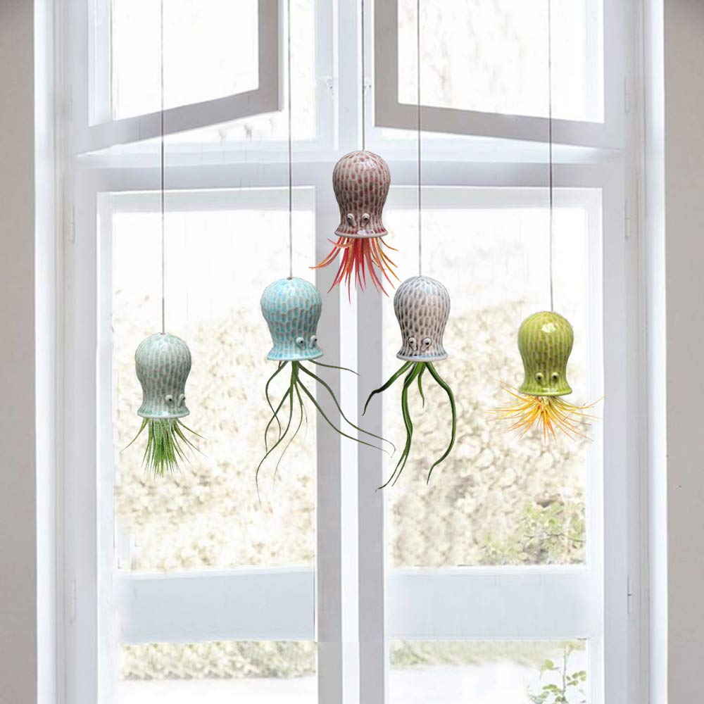 Mimeela 5 Pack Air Plant Holder Unique, Cute Octopus Air Plant Hanger Wall Planter, Ceramic Tillandsia Airplants Holders Hanging Wall Decor for Home Office (Small (2 x 3.2 in))