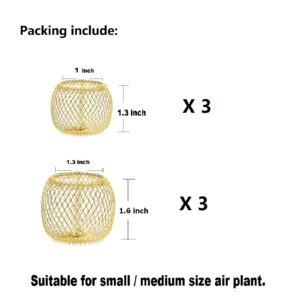 Newwe 6 x Gold Air Plant Holders Metal Airplant Pot Air Plants Planter Tillandsia Display for Home Office