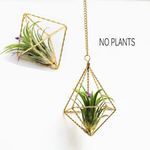 libproqia 6 Pack Hanging Air Plant Holders Geometric Twisted Wire Tillandsia Hangers Metal Air Ferns Containers,2 Small Airplant hangers and 4 Airfern Stands Dsiplay for Himmeli Decor Indoor,Gold