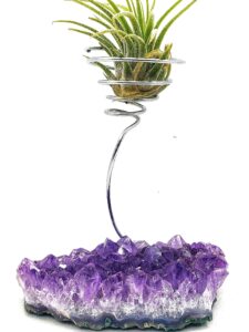 air plant crystal holder (xl) - amethyst airplant, air plants crystals, crystal air plant holder, amethyst air plant in crystals, air plant stone, air plant pot, air plants in crystals, thecrystalcafe