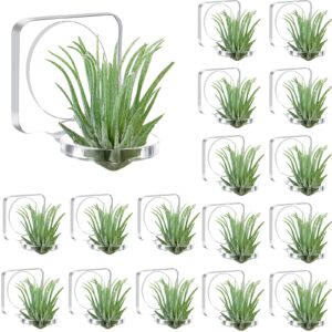 24 pcs air plants holder, acrylic air plant hanger with mounting tape for hanging air plants on glass display home decoration, plants not included