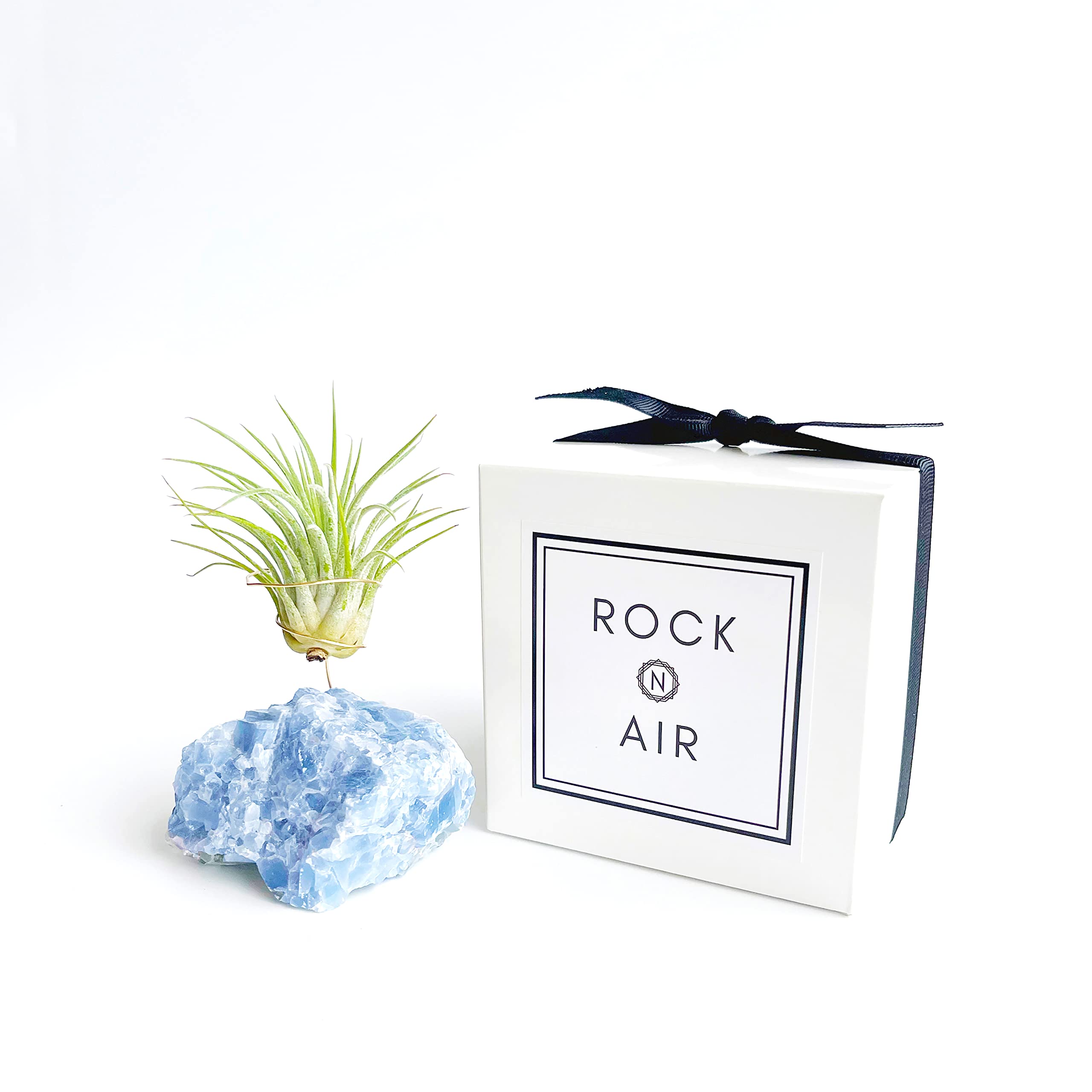 Blue Calcite Crystal Air Plant Holder Includes Healthy Air Plant and Gift Box