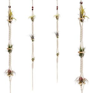 4 pieces air plants holders air plant hanger air plant wall hanger handmade rope hanging air plant holder woven hanging plant hanger with 4 hooks for home decoration