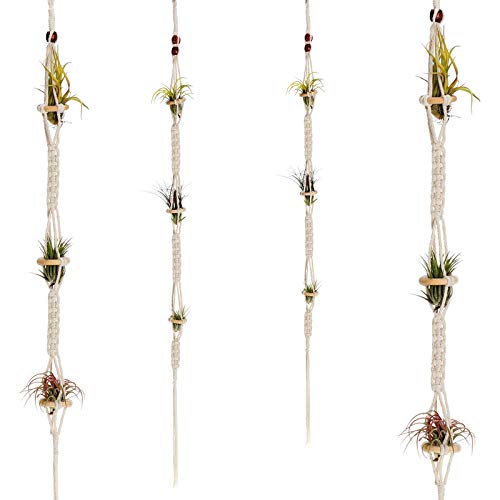 4 Pieces Air Plants Holders Air Plant Hanger Air Plant Wall Hanger Handmade Rope Hanging Air Plant Holder Woven Hanging Plant Hanger with 4 Hooks for Home Decoration