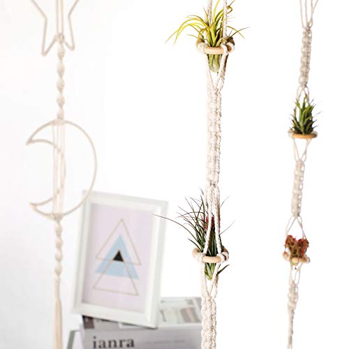 4 Pieces Air Plants Holders Air Plant Hanger Air Plant Wall Hanger Handmade Rope Hanging Air Plant Holder Woven Hanging Plant Hanger with 4 Hooks for Home Decoration