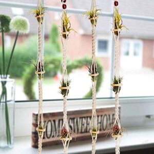 4 Pieces Air Plants Holders Air Plant Hanger Air Plant Wall Hanger Handmade Rope Hanging Air Plant Holder Woven Hanging Plant Hanger with 4 Hooks for Home Decoration