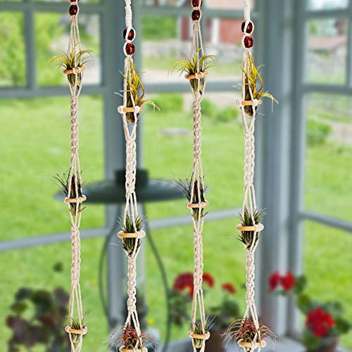 4 Pieces Air Plants Holders Air Plant Hanger Air Plant Wall Hanger Handmade Rope Hanging Air Plant Holder Woven Hanging Plant Hanger with 4 Hooks for Home Decoration