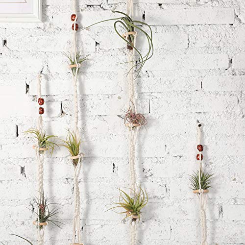 4 Pieces Air Plants Holders Air Plant Hanger Air Plant Wall Hanger Handmade Rope Hanging Air Plant Holder Woven Hanging Plant Hanger with 4 Hooks for Home Decoration