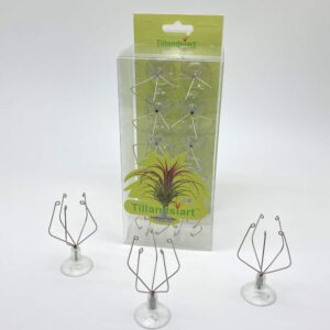 tillandsiart 10 pack vertical air plant holder (suction cup, stainless steel tillandsia air plant planter) a unique set of air plant containers for creating tillandsia art display on window. (small)