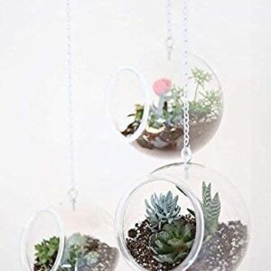 2 Clear Globe Terrarium Plastic 4.5" x 4.5" x 5,5" DIY Create Your own Hanging Planter Stand Kids Crafters Wedding Air Plants Succulents Orbs Candles + Jute tie- Steelpangal