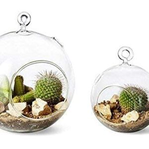 2 Clear Globe Terrarium Plastic 4.5" x 4.5" x 5,5" DIY Create Your own Hanging Planter Stand Kids Crafters Wedding Air Plants Succulents Orbs Candles + Jute tie- Steelpangal