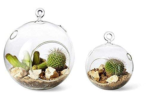 2 Clear Globe Terrarium Plastic 4.5" x 4.5" x 5,5" DIY Create Your own Hanging Planter Stand Kids Crafters Wedding Air Plants Succulents Orbs Candles + Jute tie- Steelpangal