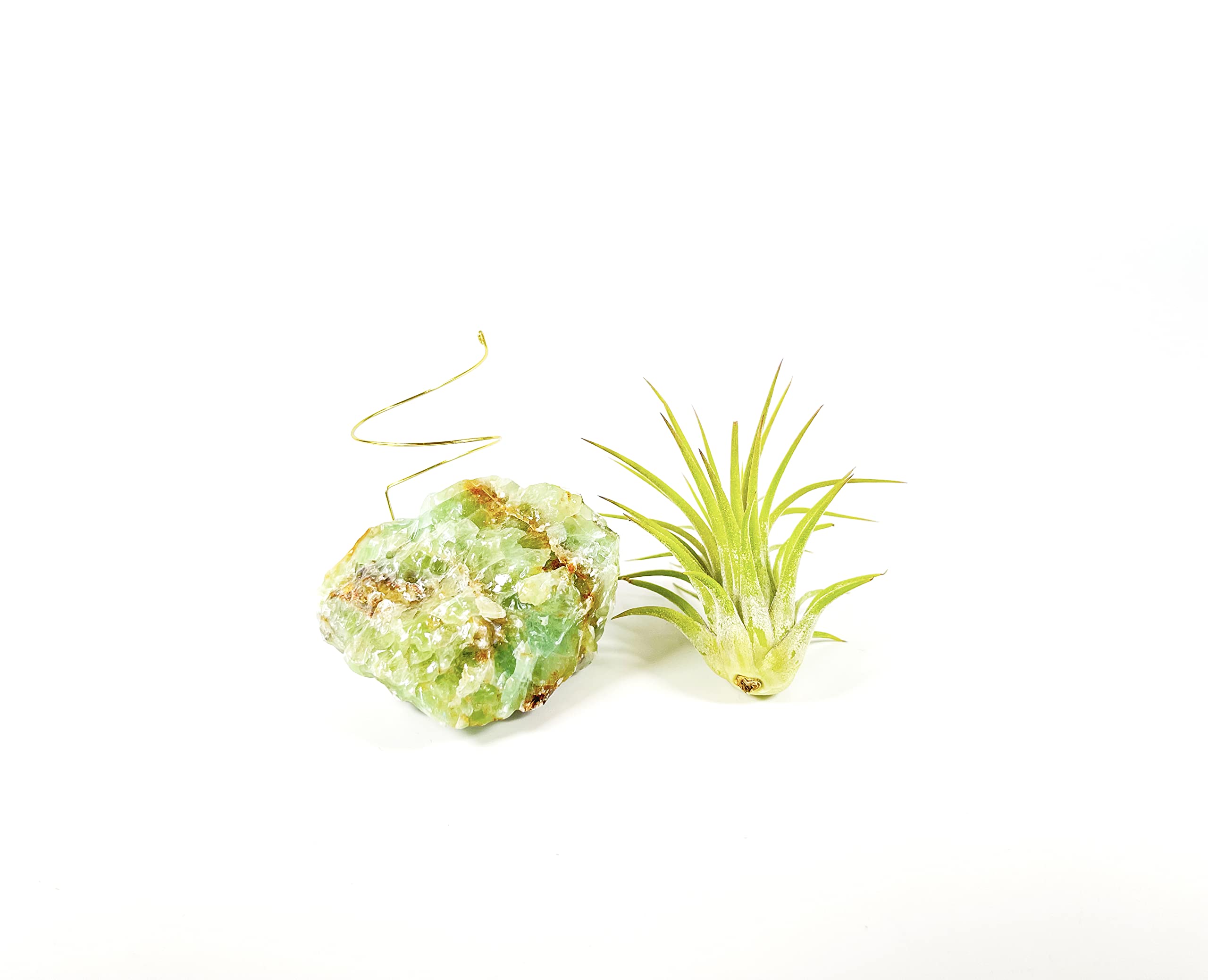 Green Calcite Crystal Air Plant Holder Gift Includes Healthy Live Air Plant and Gift Box Great Gift for Friend Co-worker or Neighbor