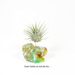 Green Calcite Crystal Air Plant Holder Gift Includes Healthy Live Air Plant and Gift Box Great Gift for Friend Co-worker or Neighbor