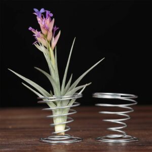 40 Pack Air Plant Stand Holder Tillandsia Airplant Container with Suction Cup Tabletop Planter Display Racks for Hanging Tillandsia House Plants