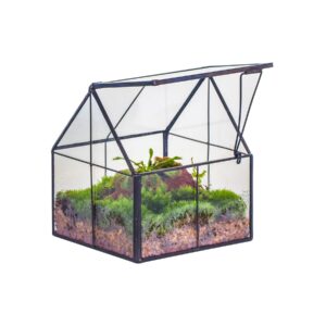 ncyp 4.25" x 4.25" x 4.92" mini glass geometric terrarium with lid - small house shape close planter pot for succulents plant - handmade, home garden office tabletop decor, black (terrarium only)