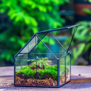 NCYP 4.25" x 4.25" x 4.92" Mini Glass Geometric Terrarium with Lid - Small House Shape Close Planter Pot for Succulents Plant - Handmade, Home Garden Office Tabletop Decor, Black (Terrarium Only)