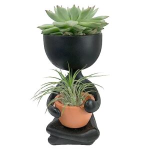 zen harmony planter - live plants in a decorative pot - cactus | succulent | air plant - a symbol of serenity and natural beauty