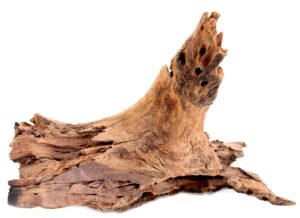 supermoss (23296) driftwood for air plants, natural (design may vary) (11”-13”)