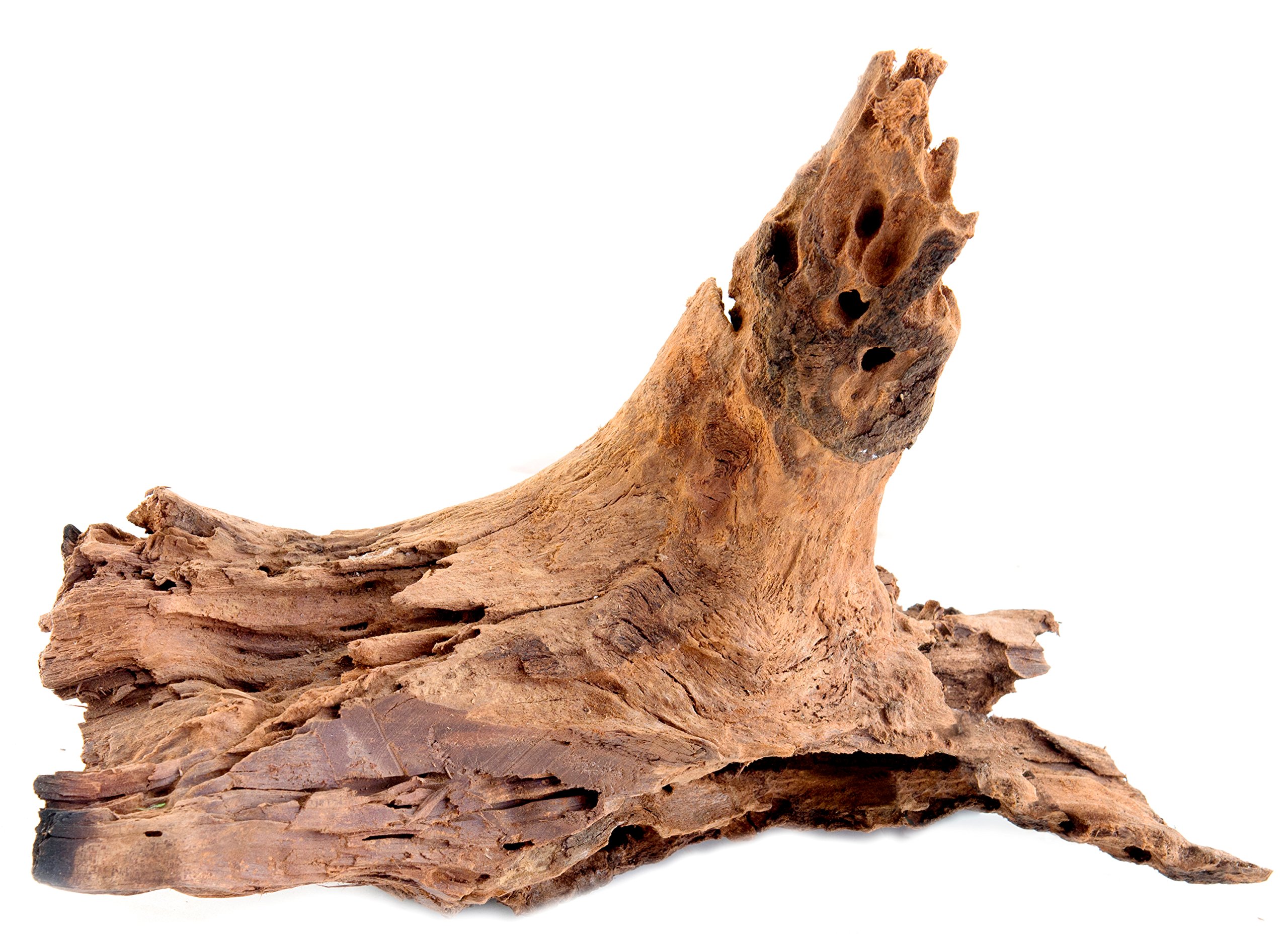 SuperMoss (23296) Driftwood for Air Plants, Natural (Design may vary) (11”-13”)