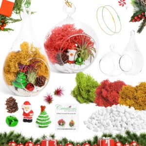 creations by nathalie - diy holiday ornaments terrarium kit - live air plants - 2 glass terrariums, reindeer moss, christmas figurines, white stones