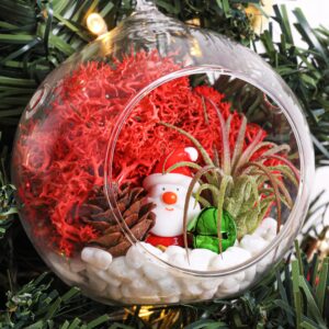 Creations by Nathalie - DIY Holiday Ornaments Terrarium Kit - Live Air Plants - 2 Glass Terrariums, Reindeer Moss, Christmas Figurines, White Stones