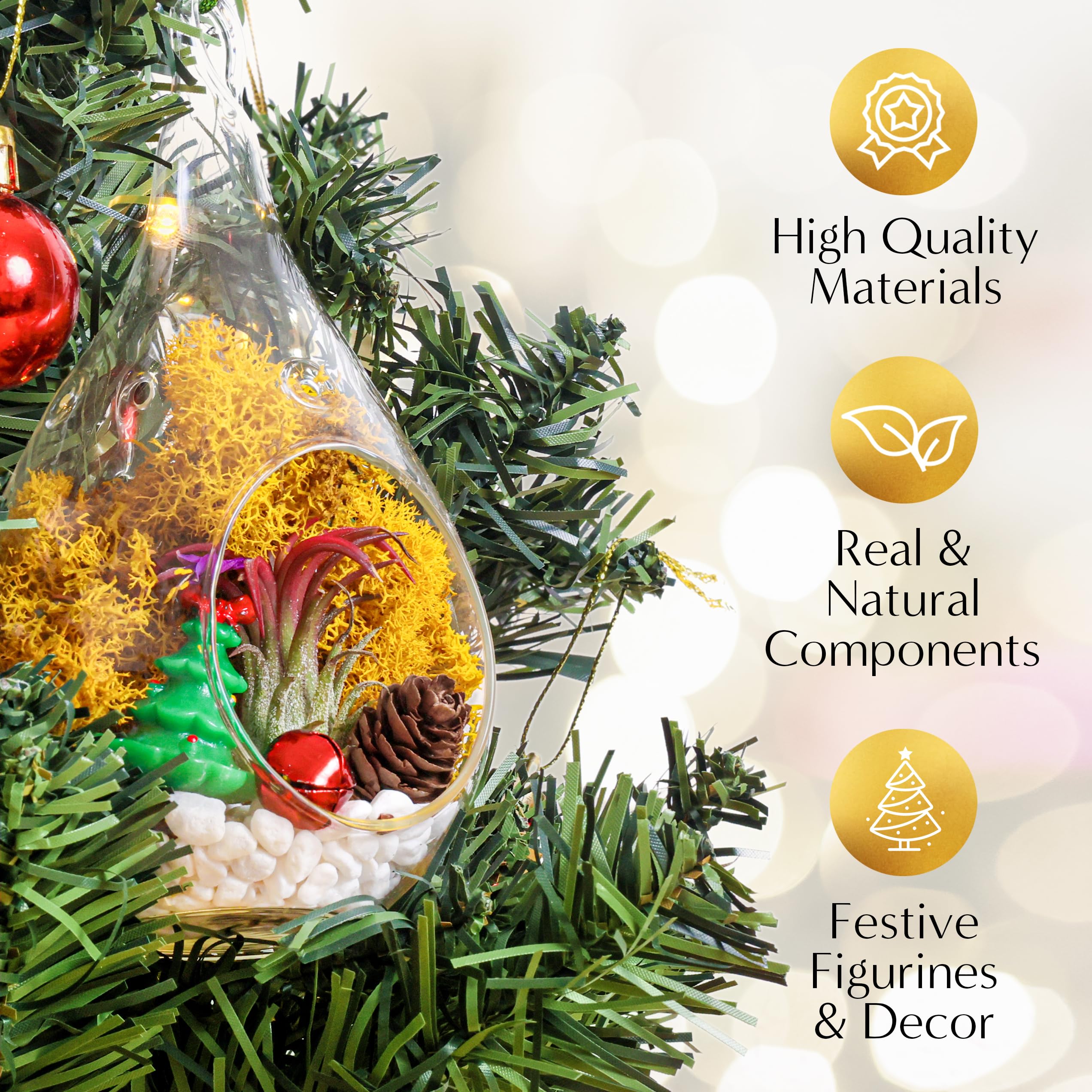 Creations by Nathalie - DIY Holiday Ornaments Terrarium Kit - Live Air Plants - 2 Glass Terrariums, Reindeer Moss, Christmas Figurines, White Stones