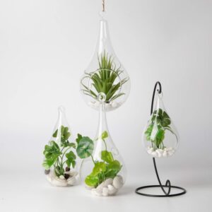 WGV Glass Hanging Plant Terrarium, Width 3", Height 5.5", Teardrop DIY Air Succulent Planter Clear Tea light Votive Candle Holder, Wedding Event Office Home Outdoor Decor, 1 Piece