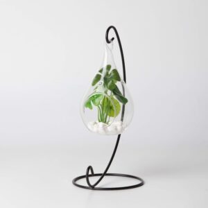 WGV Glass Hanging Plant Terrarium, Width 3", Height 5.5", Teardrop DIY Air Succulent Planter Clear Tea light Votive Candle Holder, Wedding Event Office Home Outdoor Decor, 1 Piece