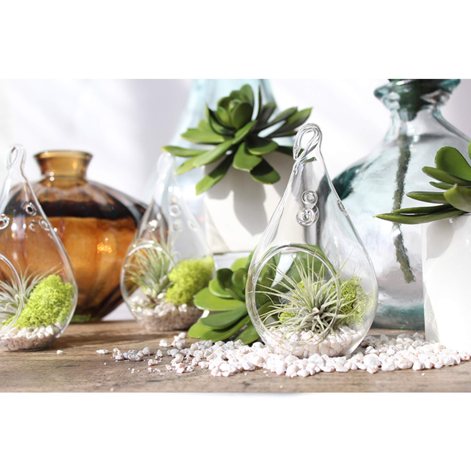 WGV Glass Hanging Plant Terrarium, Width 3", Height 5.5", Teardrop DIY Air Succulent Planter Clear Tea light Votive Candle Holder, Wedding Event Office Home Outdoor Decor, 1 Piece