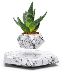 bandd plant pot for succulents, air bonsai & air plants. planter for home, office & desk decor. magnetic floating levitating display. (marble)