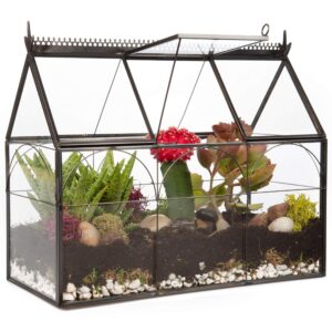 d'eco glass greenhouse plant terrarium (10x4.5x9) - indoor tabletop black hinged geometric planter - succulents, air plants, moss, fern - home garden office decor - plant lovers gift (terrarium only)