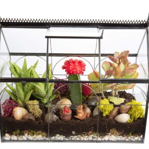 D'Eco Glass Greenhouse Plant Terrarium (10x4.5x9) - Indoor Tabletop Black Hinged Geometric Planter - Succulents, Air Plants, Moss, Fern - Home Garden Office Decor - Plant Lovers Gift (Terrarium Only)