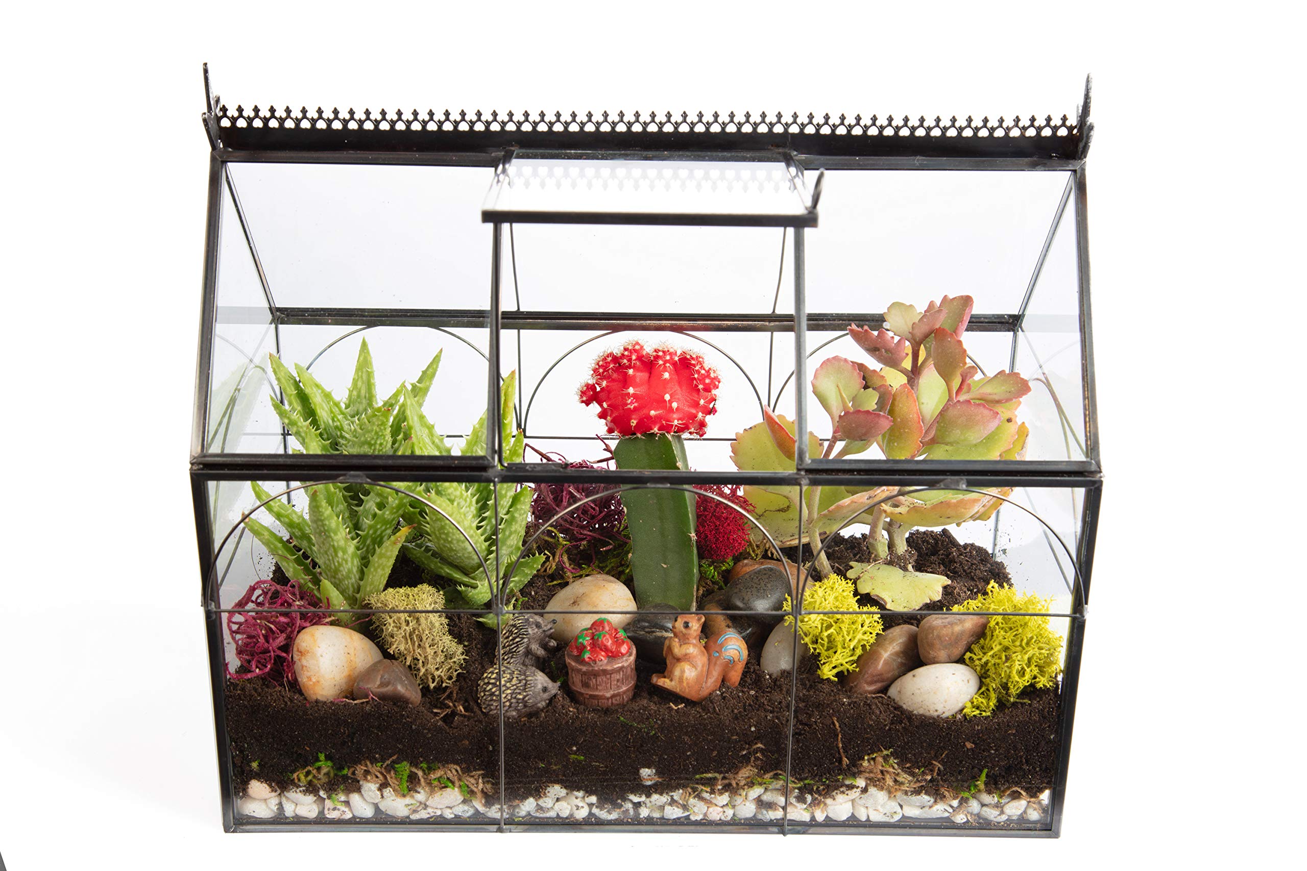 D'Eco Glass Greenhouse Plant Terrarium (10x4.5x9) - Indoor Tabletop Black Hinged Geometric Planter - Succulents, Air Plants, Moss, Fern - Home Garden Office Decor - Plant Lovers Gift (Terrarium Only)