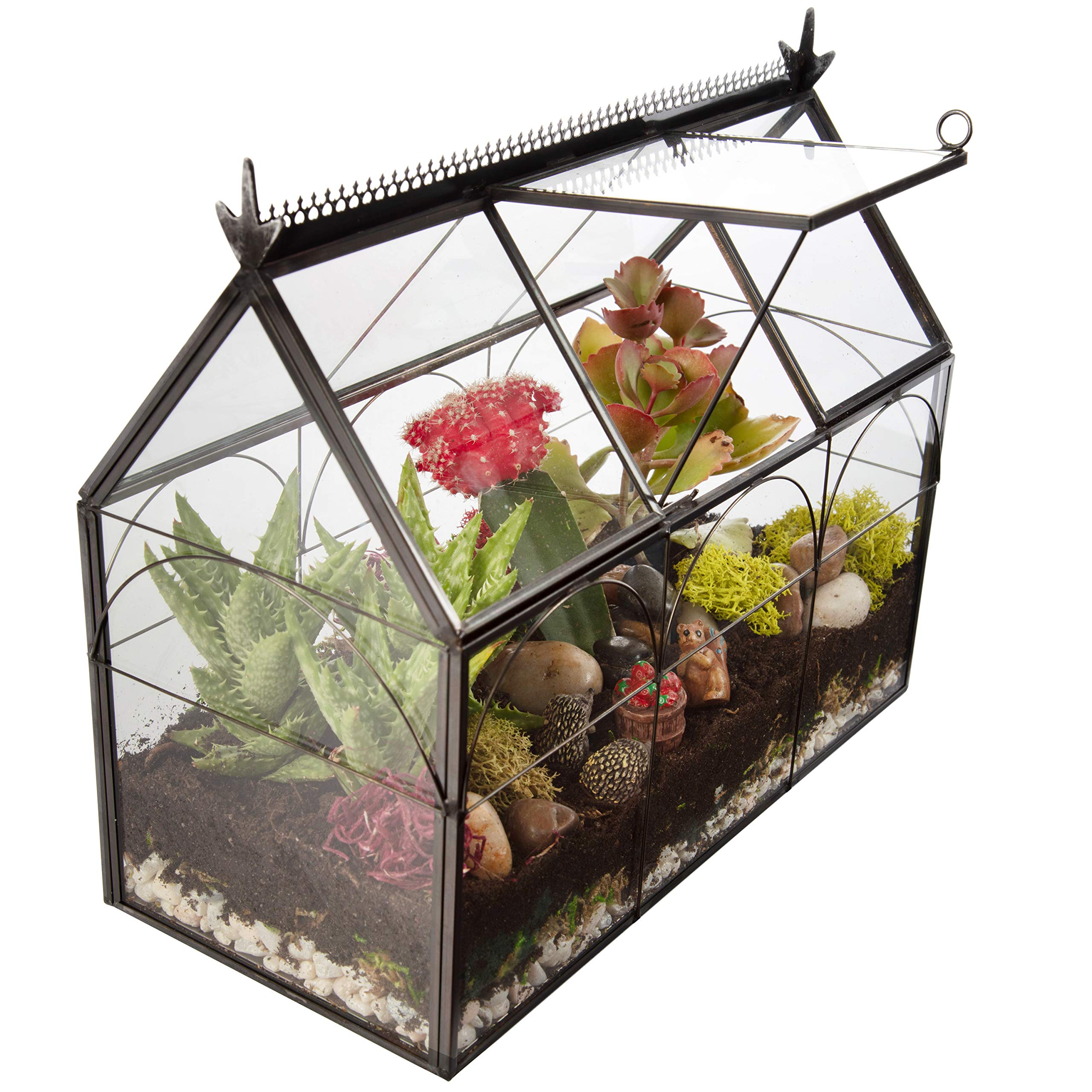 D'Eco Glass Greenhouse Plant Terrarium (10x4.5x9) - Indoor Tabletop Black Hinged Geometric Planter - Succulents, Air Plants, Moss, Fern - Home Garden Office Decor - Plant Lovers Gift (Terrarium Only)