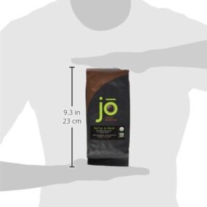 NO FUN JO DECAF: 12 oz, Organic Decaf Coffee, Swiss Water Process, Fair Trade Certified, Medium Dark Roast, Whole Bean Arabica Coffee, USDA Certified Organic, NON-GMO