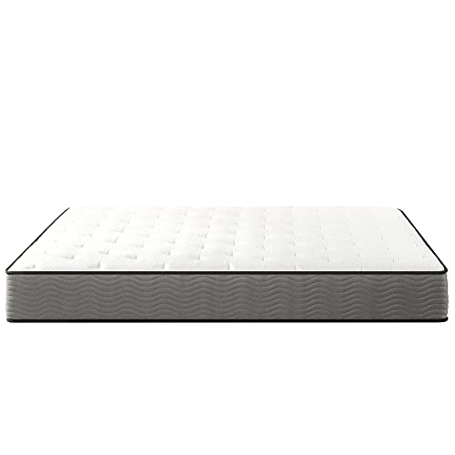 ZINUS 10 Inch Support Plus Pocket Spring Hybrid Mattress, King, Strong Coils for Durable Support, Pocket Innersprings for Motion Isolation, Mattress in A Box