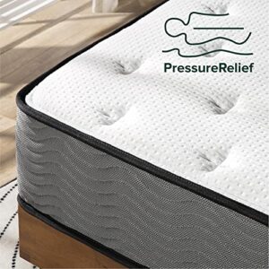 ZINUS 10 Inch Support Plus Pocket Spring Hybrid Mattress, King, Strong Coils for Durable Support, Pocket Innersprings for Motion Isolation, Mattress in A Box