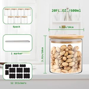 20 oz Glass Spice Jars with Bamboo Lid,6 Pack Kitchen Food Storage Canister for Spices,Coffee Beans,Tea, Nuts and Candy