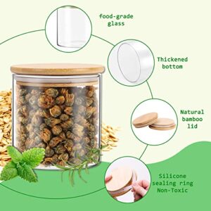 20 oz Glass Spice Jars with Bamboo Lid,6 Pack Kitchen Food Storage Canister for Spices,Coffee Beans,Tea, Nuts and Candy