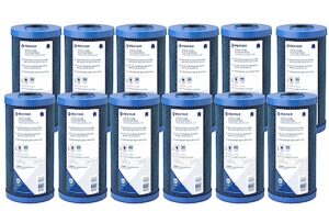 pentair pentek cfb-plus10bb big blue carbon water filter, 10-inch, whole house fibredyne modified molded carbon block replacement cartridge, 10" x 4.5", 5-10 micron, pack of 12