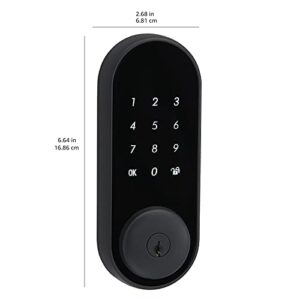 Amazon Basics Grade 2 Contemporary Electronic Touchscreen Deadbolt Door Lock - Matte Black