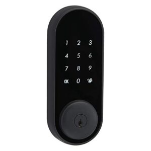 Amazon Basics Grade 2 Contemporary Electronic Touchscreen Deadbolt Door Lock - Matte Black