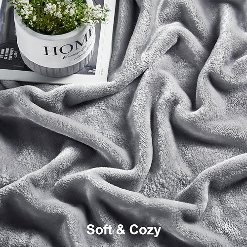 DREAMNINE Extra Soft Plush Fleece Throw Blanket for Couch Sofa 50" x 60", Decorative Solid Lightweight Velvet Blanket for Chair, Cozy Accent Shaggy Minky Fuzzy Flannel Blanket for Bedroom Dorm, Grey