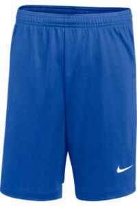 nike youth dri-fit classic ii shorts (large royal)