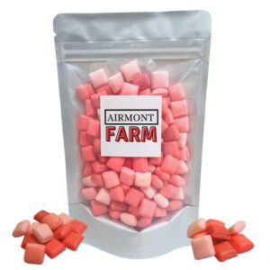 freeze dried candy starburst mini 6oz fruit burst candy - fave reds (strawberry, watermelon, fruit punch, cherry flavors), deliciously hard and crunchy, intense flavor, lightweight snack - resealable bag (mini favereds (6oz))